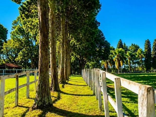 Imoveis em Área Rural de São José dos Pinhais