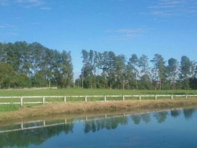 Imoveis em Área Rural de São José dos Pinhais