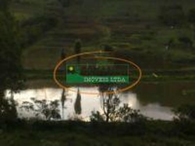 Imoveis em Buarque de Macedo