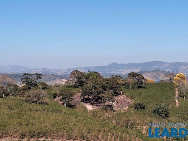 Imoveis em Bandeira do Sul