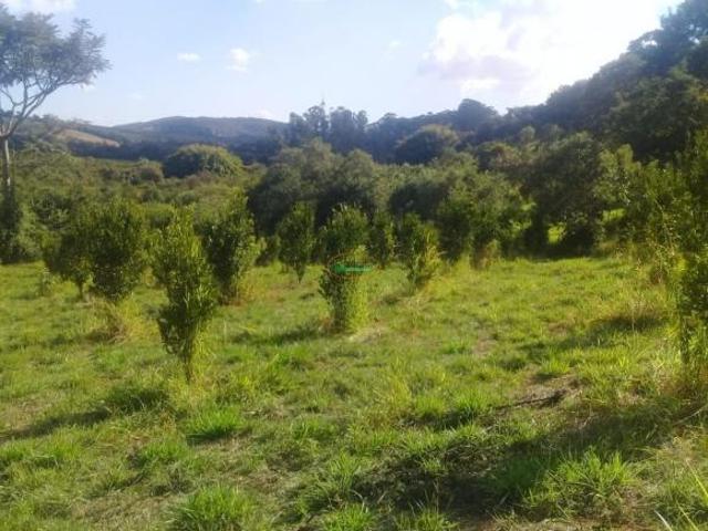 Imoveis em Belo Vale