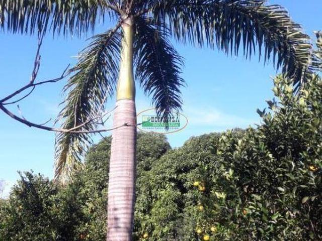 Imoveis em Belo Vale