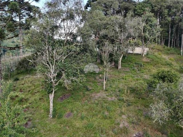Imoveis em Bocaiúva do Sul