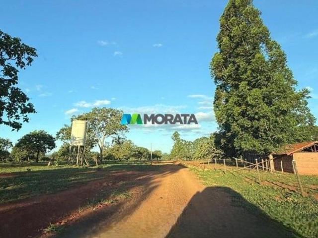 Imoveis em Bocaiúva