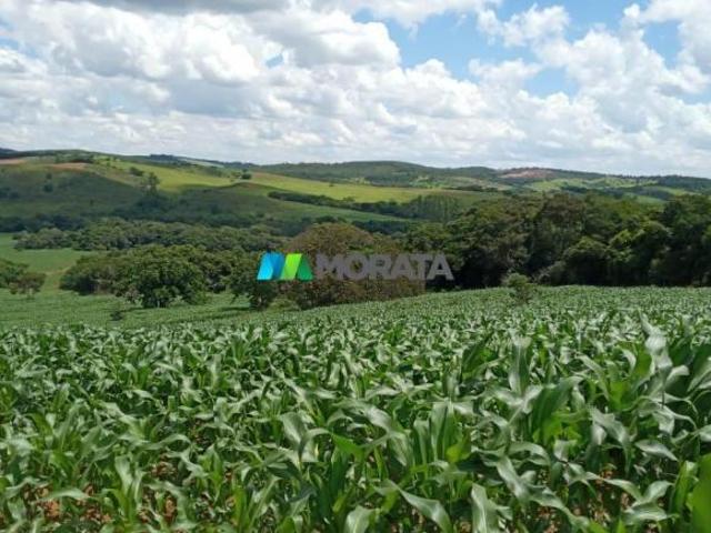 Imoveis em Bom Sucesso