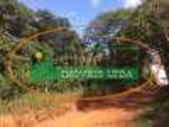 Imoveis em Brumadinho