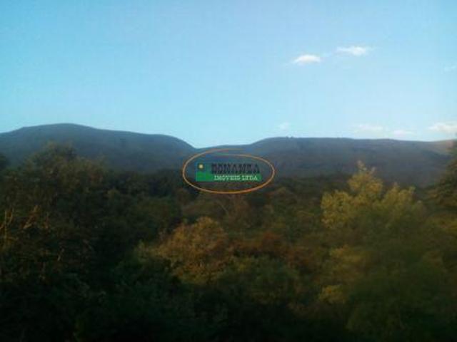 Imoveis em Brumadinho