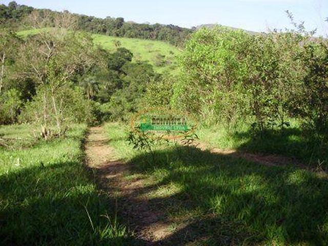 Imoveis em Brumadinho