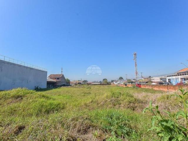 Imoveis em Cajuru