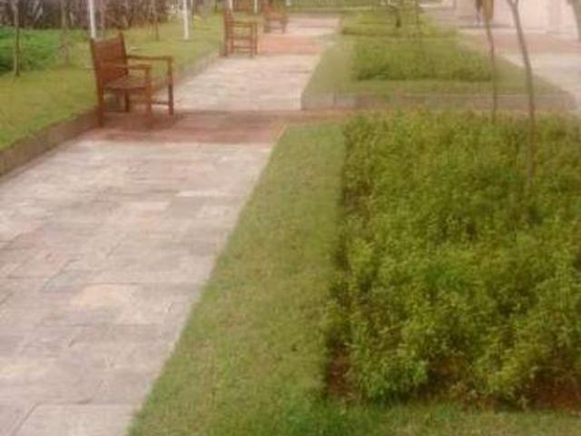 Imoveis em Campestre