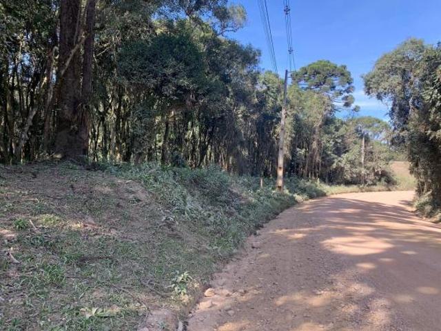 Imoveis em Campestre da Faxina