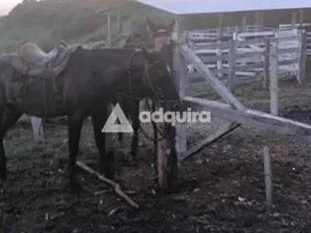 Imoveis em Cândido de Abreu