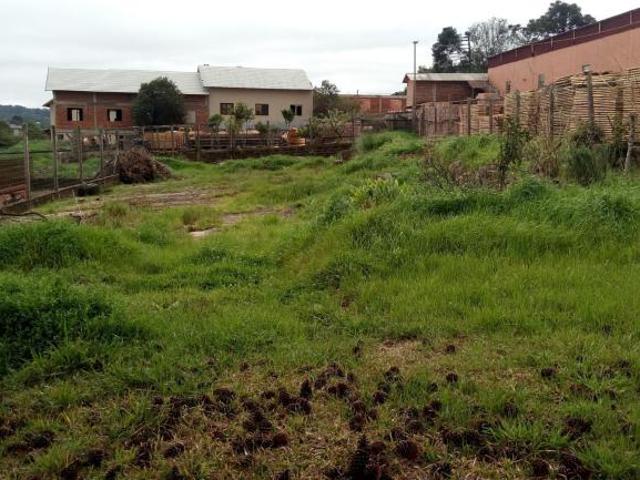 Imoveis em Canela