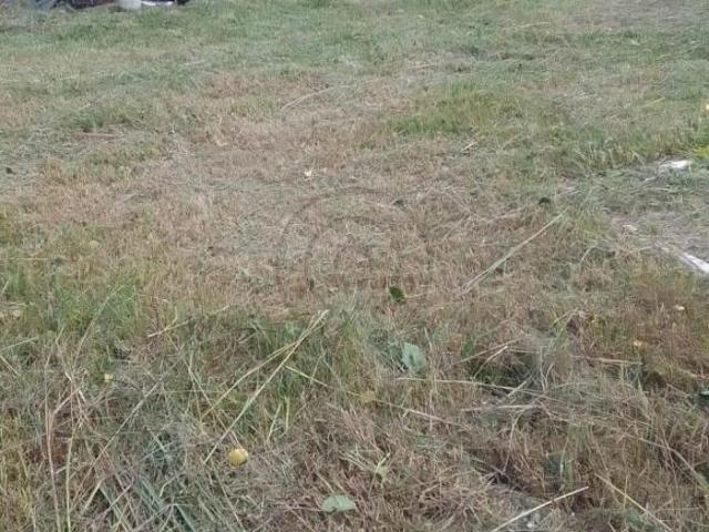 Imoveis em Cassino