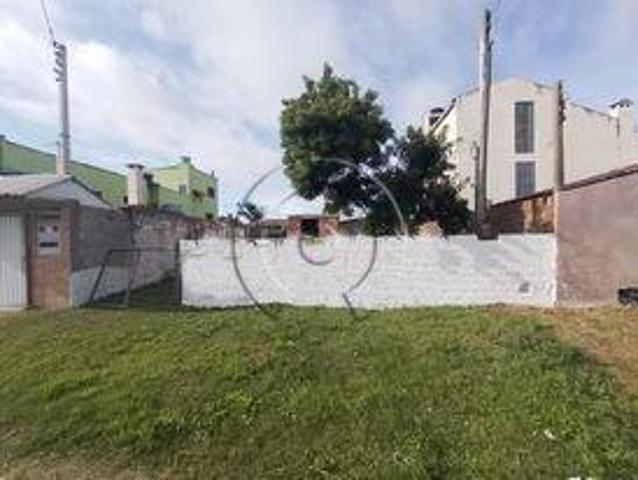Imoveis em Cassino