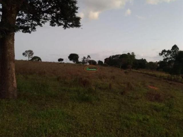 Imoveis em Castro