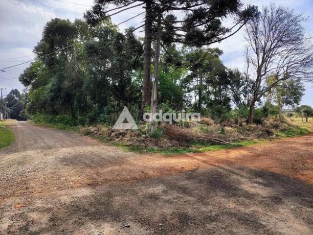 Imoveis em Cará cará