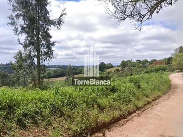 Imoveis em Carambeí