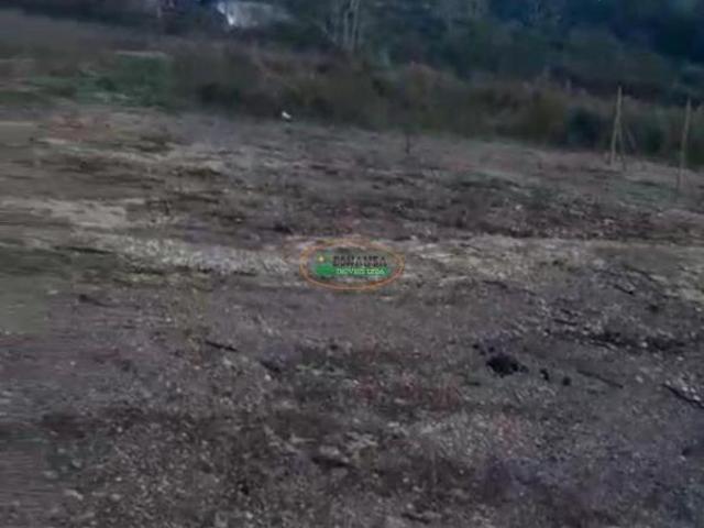 Imoveis em Catauá