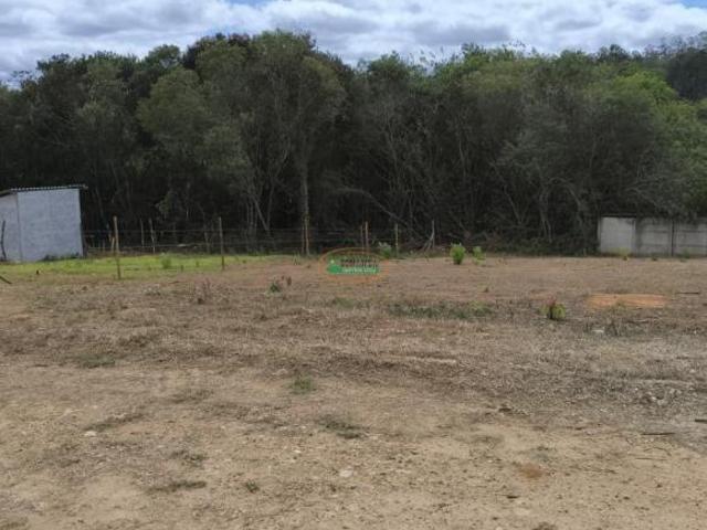 Imoveis em Colônia do Marçal