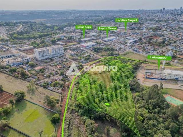 Imoveis em Colônia Dona Luíza