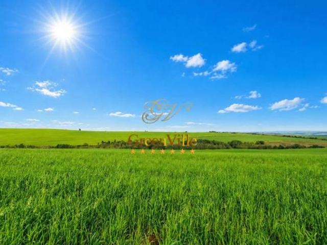 Imoveis em Colônia Dona Luíza