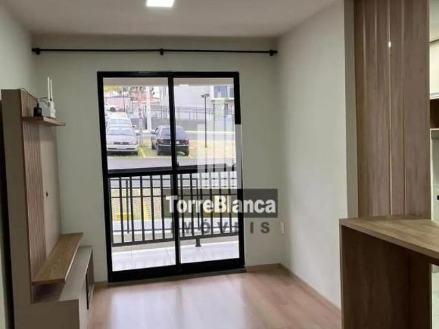 Imoveis em Colônia Dona Luíza