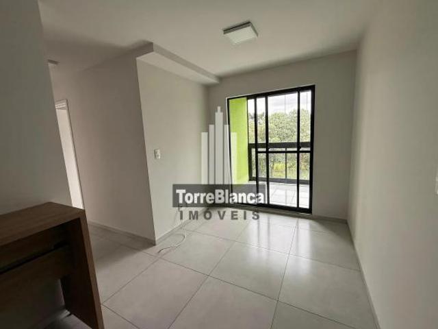 Imoveis em Colônia Dona Luíza