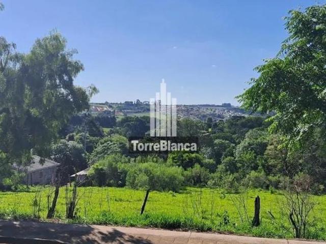 Imoveis em Colônia Dona Luíza