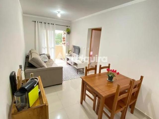 Imoveis em Colônia Dona Luíza