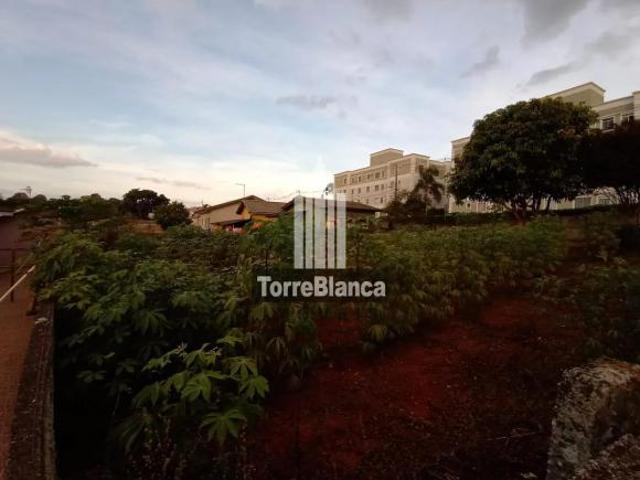 Imoveis em Colônia Dona Luíza