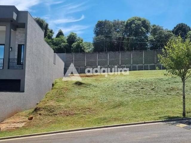 Imoveis em Colônia Dona Luíza