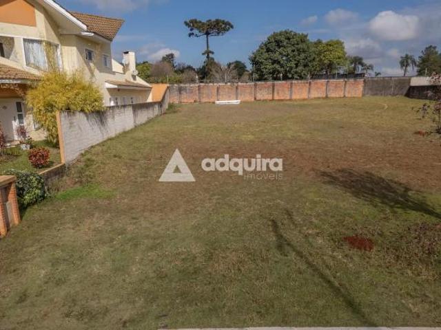 Imoveis em Colônia Dona Luíza