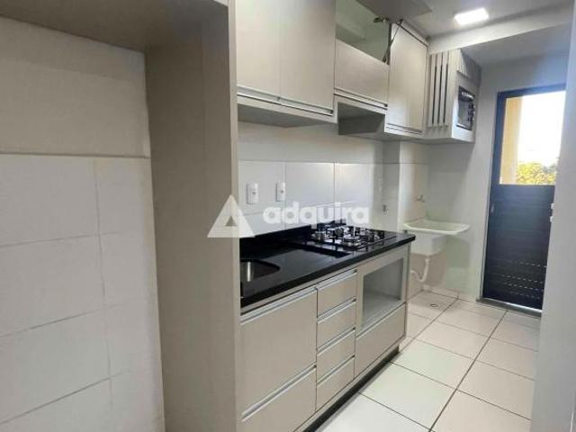 Imoveis em Colônia Dona Luíza