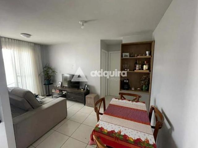Imoveis em Colônia Dona Luíza