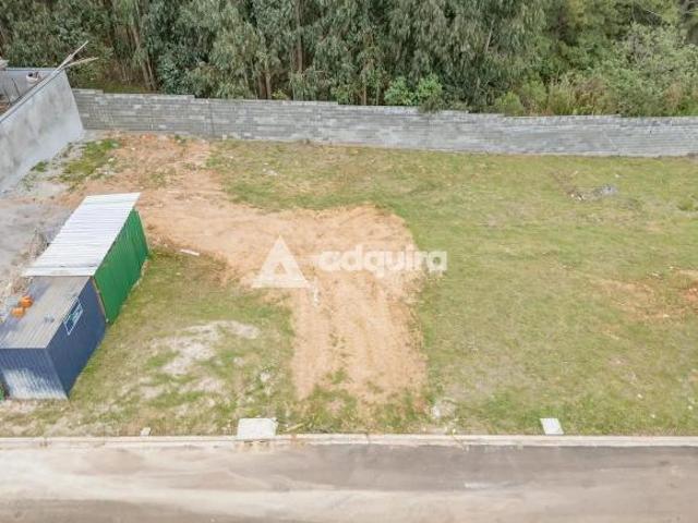 Imoveis em Colônia Dona Luíza