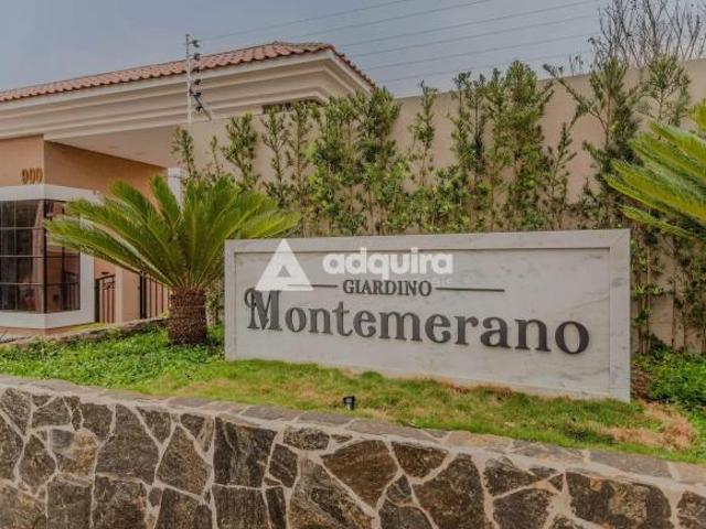 Imoveis em Colônia Dona Luíza