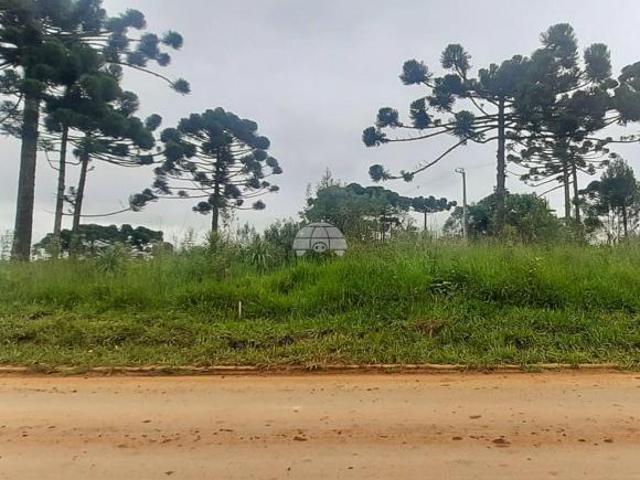 Imoveis em Colônia Faria