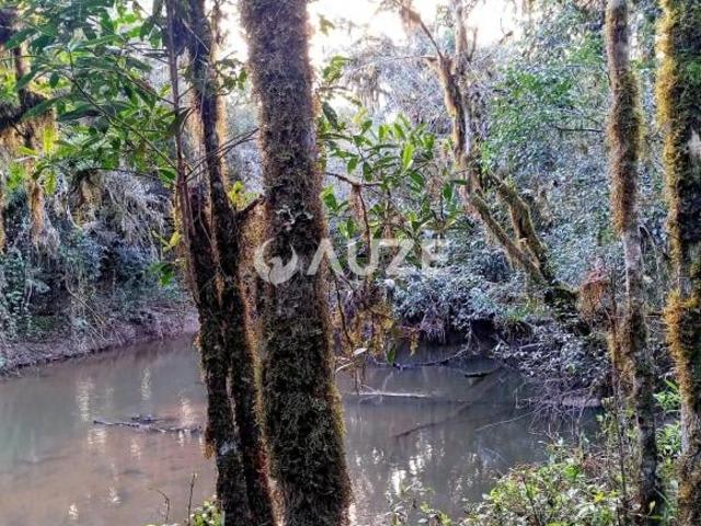 Imoveis em Colônia Murici