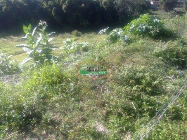 Imoveis em Conselheiro Lafaiete