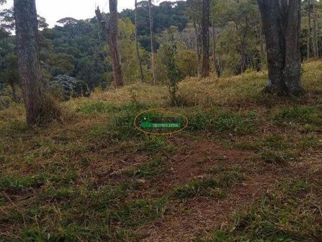 Imoveis em Conselheiro Lafaiete