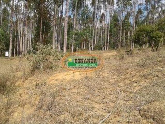 Imoveis em Conselheiro Lafaiete