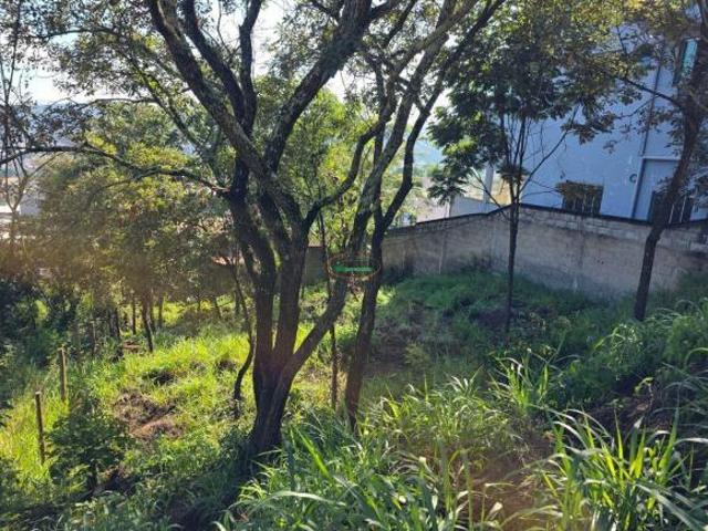Imoveis em Dona Luizinha