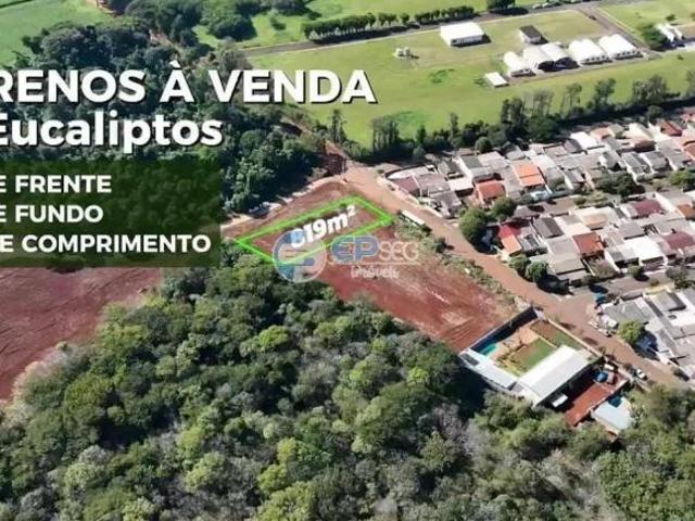 Imoveis em Eucaliptos