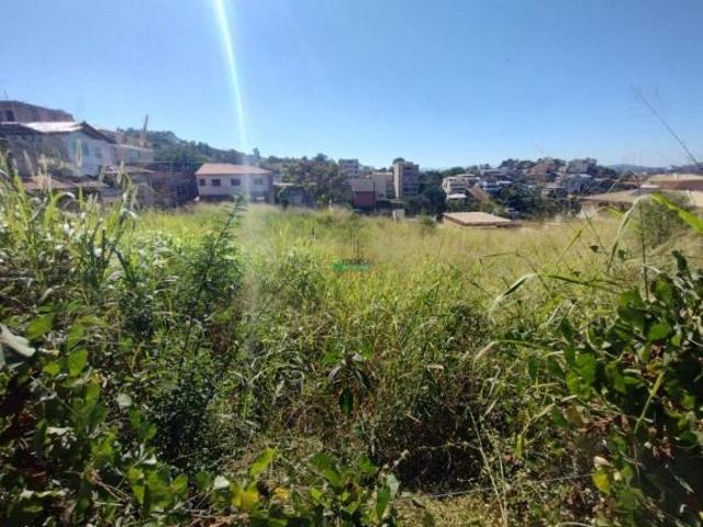 Imoveis em Expedicionários