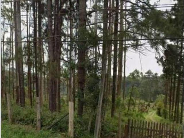 Imoveis em Embu Guaçu