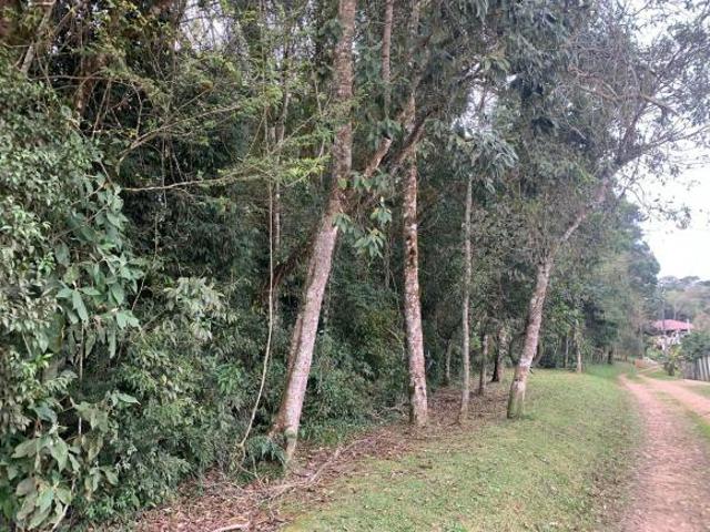 Terreno em Faxina, São José dos Pinhais/PR de 10m² à venda por R$ 650.000,00