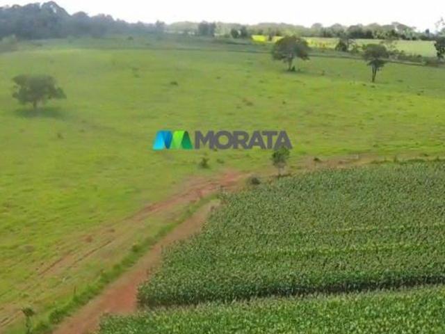 Imoveis em Formiga