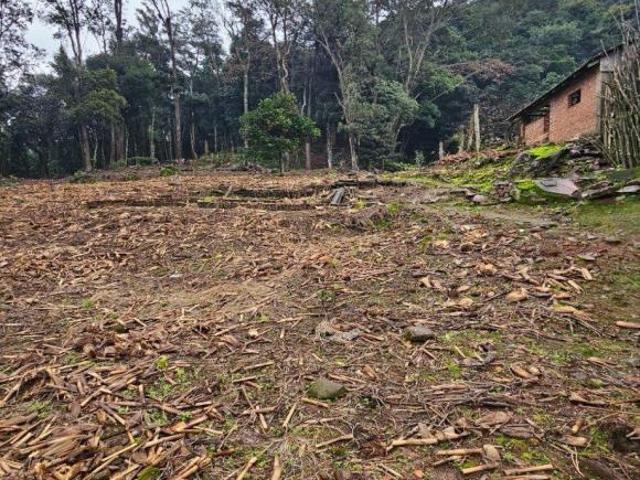 Imoveis em Galópolis