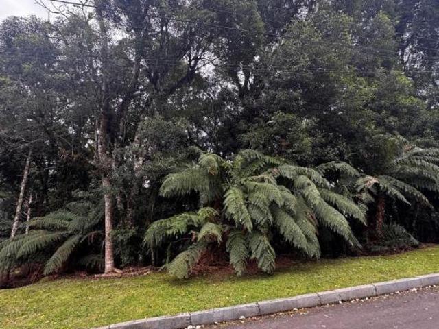 Imoveis em Gramado